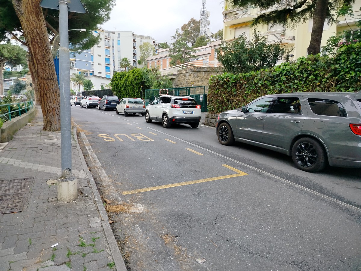 Sanremo: la Lipu chiede di non togliere i pini da via Padre Semeria ...