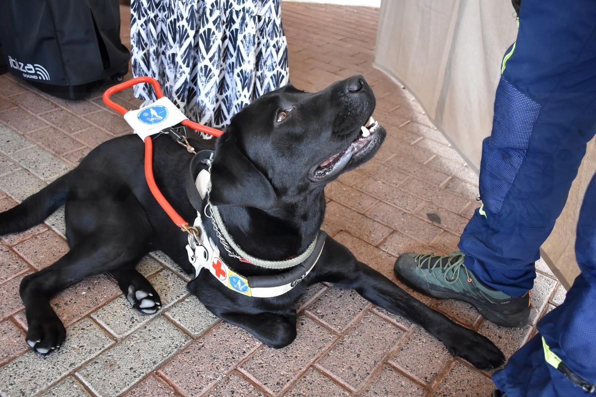 Imperia: l'Unione italiana ciechi e ipovedenti ha incontrato il ...