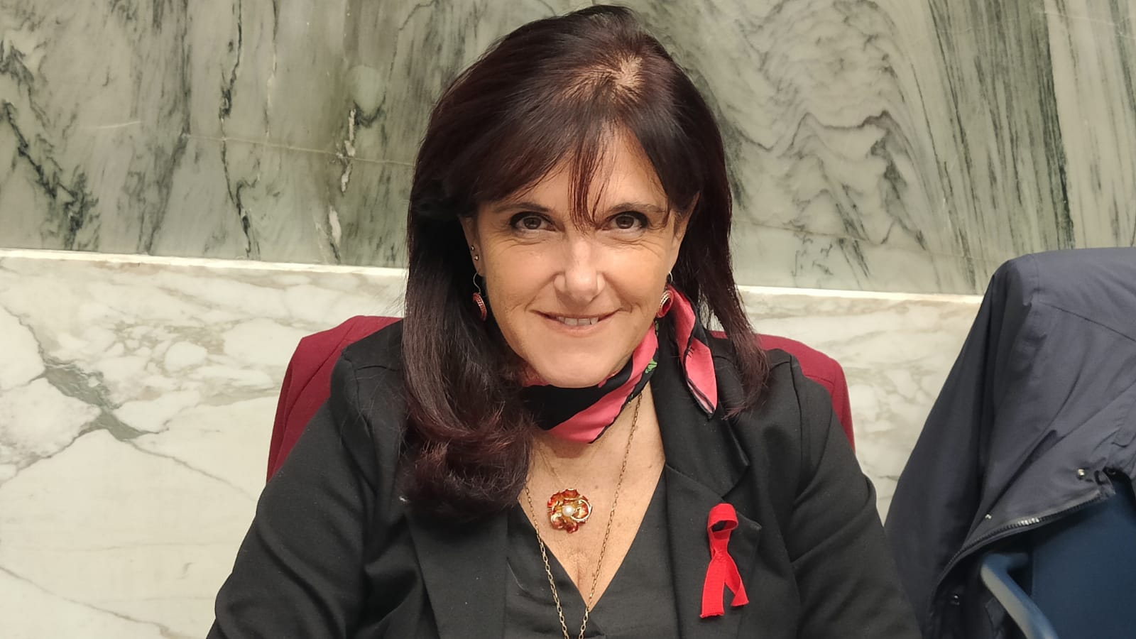 In consiglio comunale a Imperia la pratica sulla messa a dimora di un ...